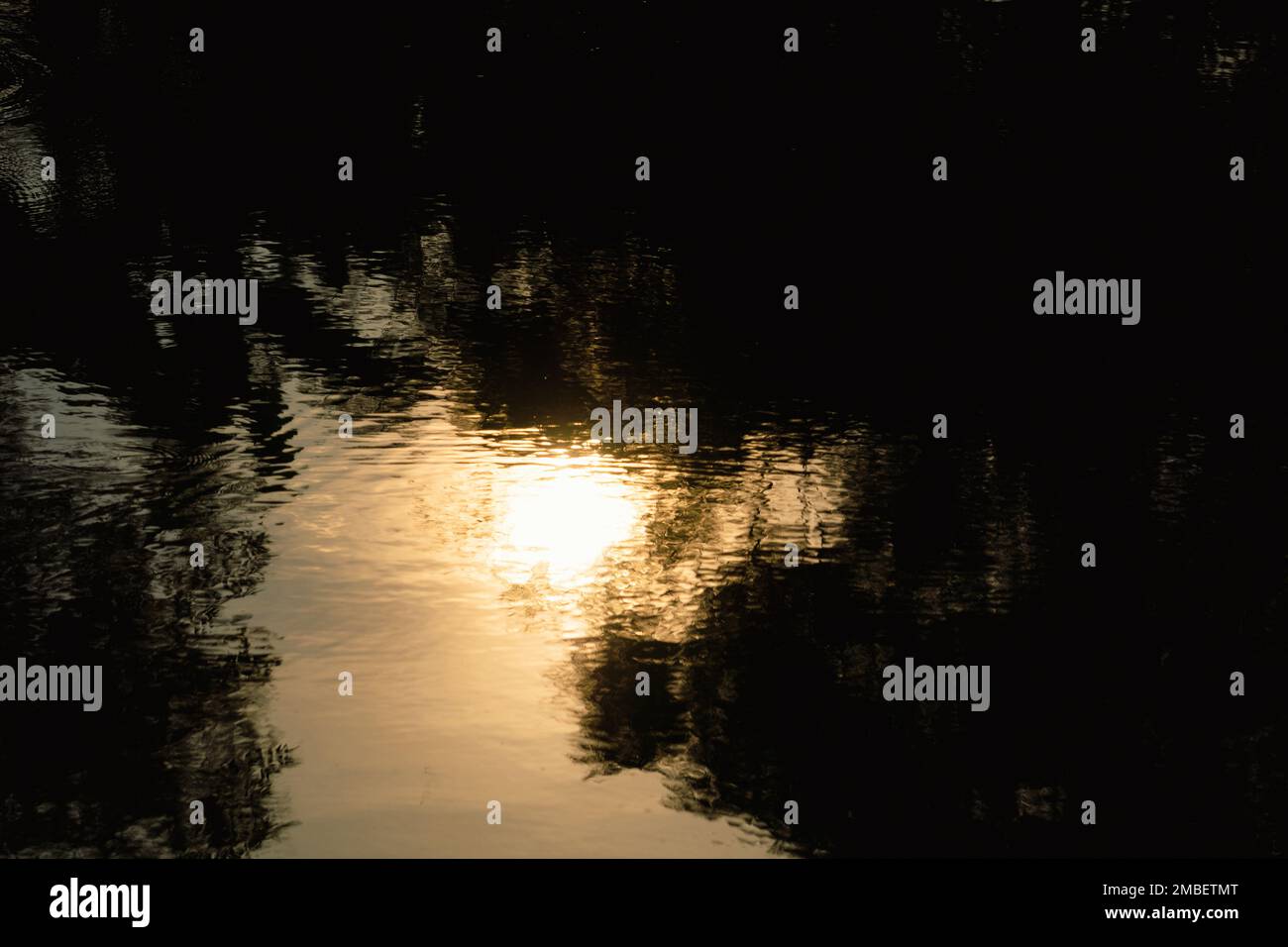 The sun's shadow in the water. The shadow of the creeper in the water ...