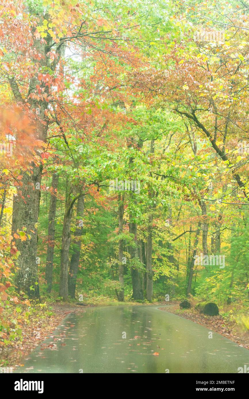Great Smoky Mountains during autumn fall colors Stock Photo - Alamy