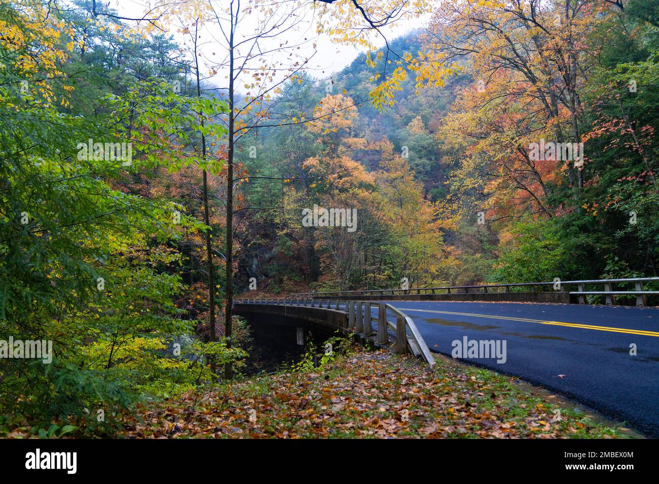 Great Smoky Mountains during autumn fall colors Stock Photo - Alamy