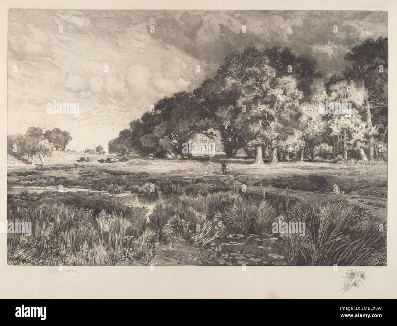 Thomas moran 1800s hi-res stock photography and images - Alamy