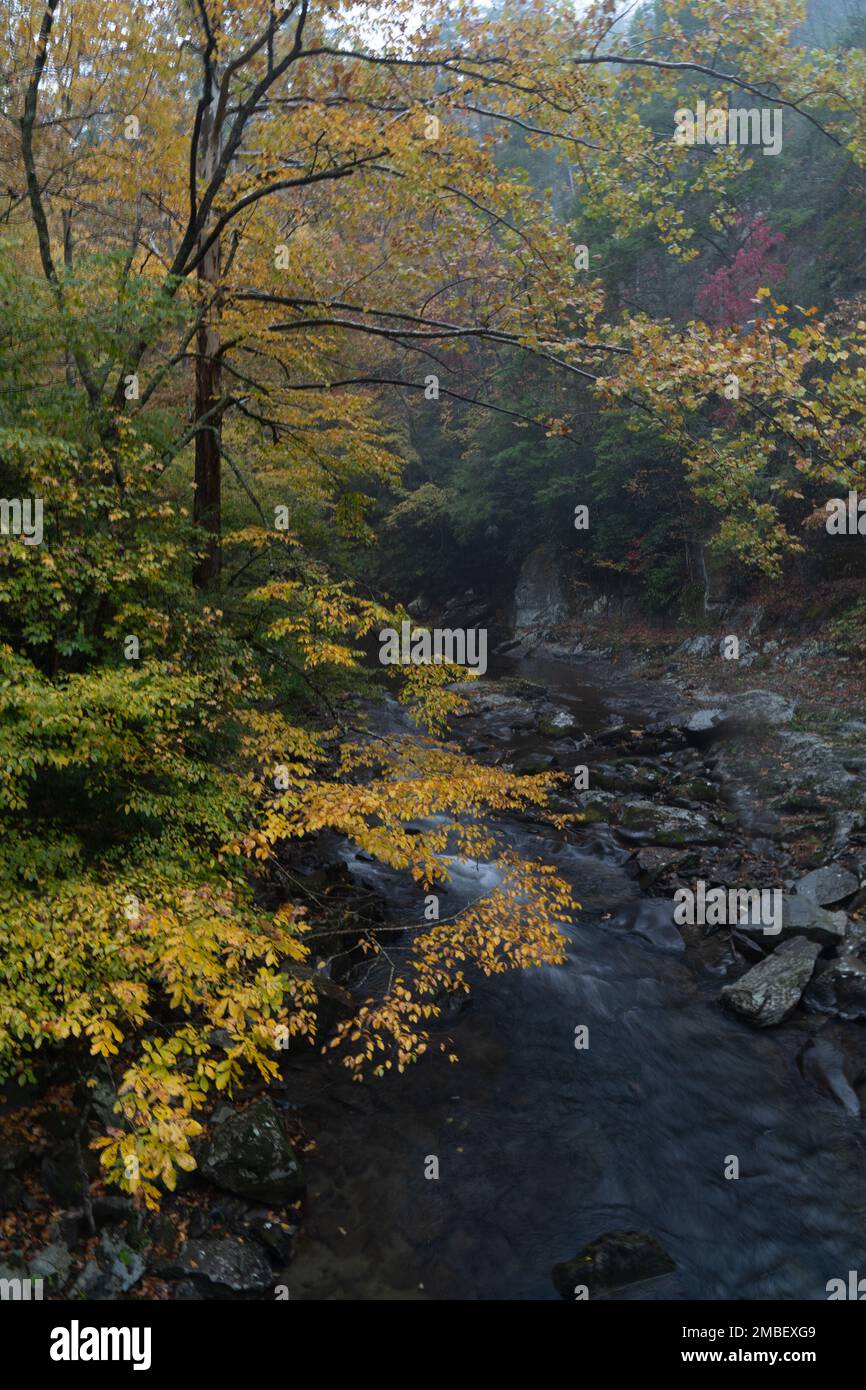 Great Smoky Mountains during autumn fall colors Stock Photo - Alamy