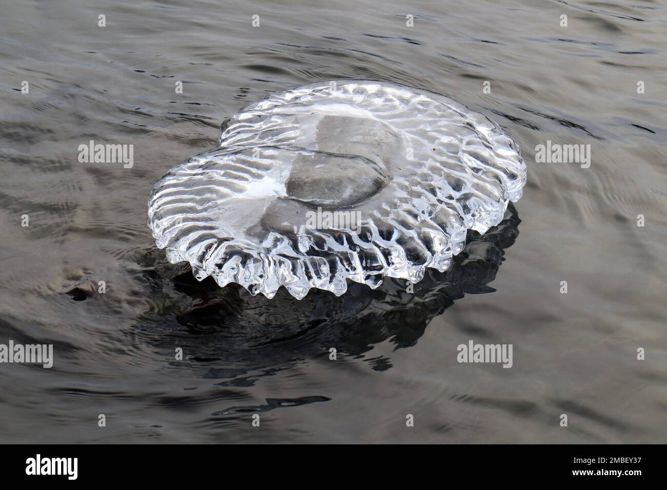 River rock covered by semi-transparent ice-cap with beautiful rounded ...