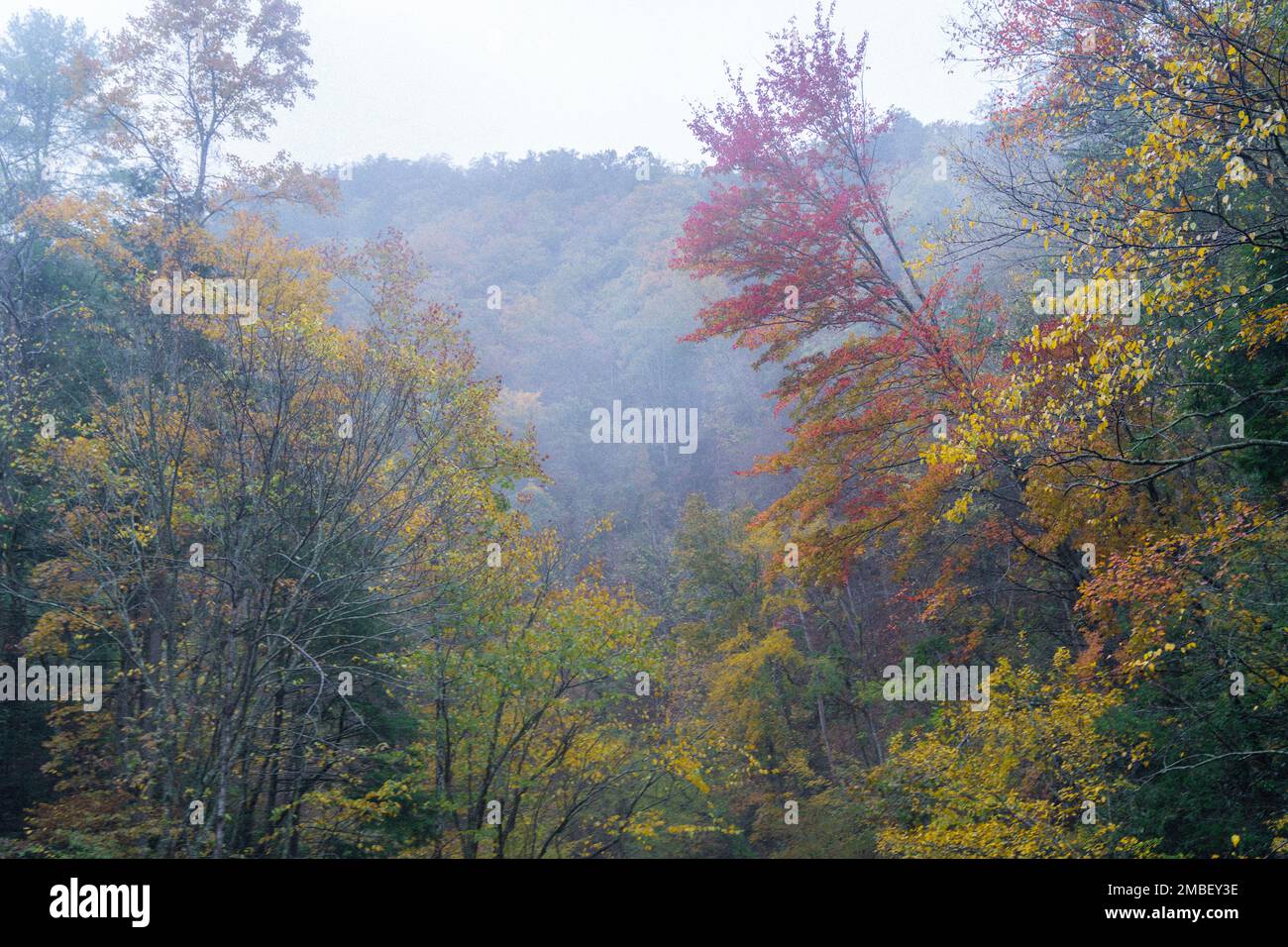 Great Smoky Mountains during autumn fall colors Stock Photo - Alamy