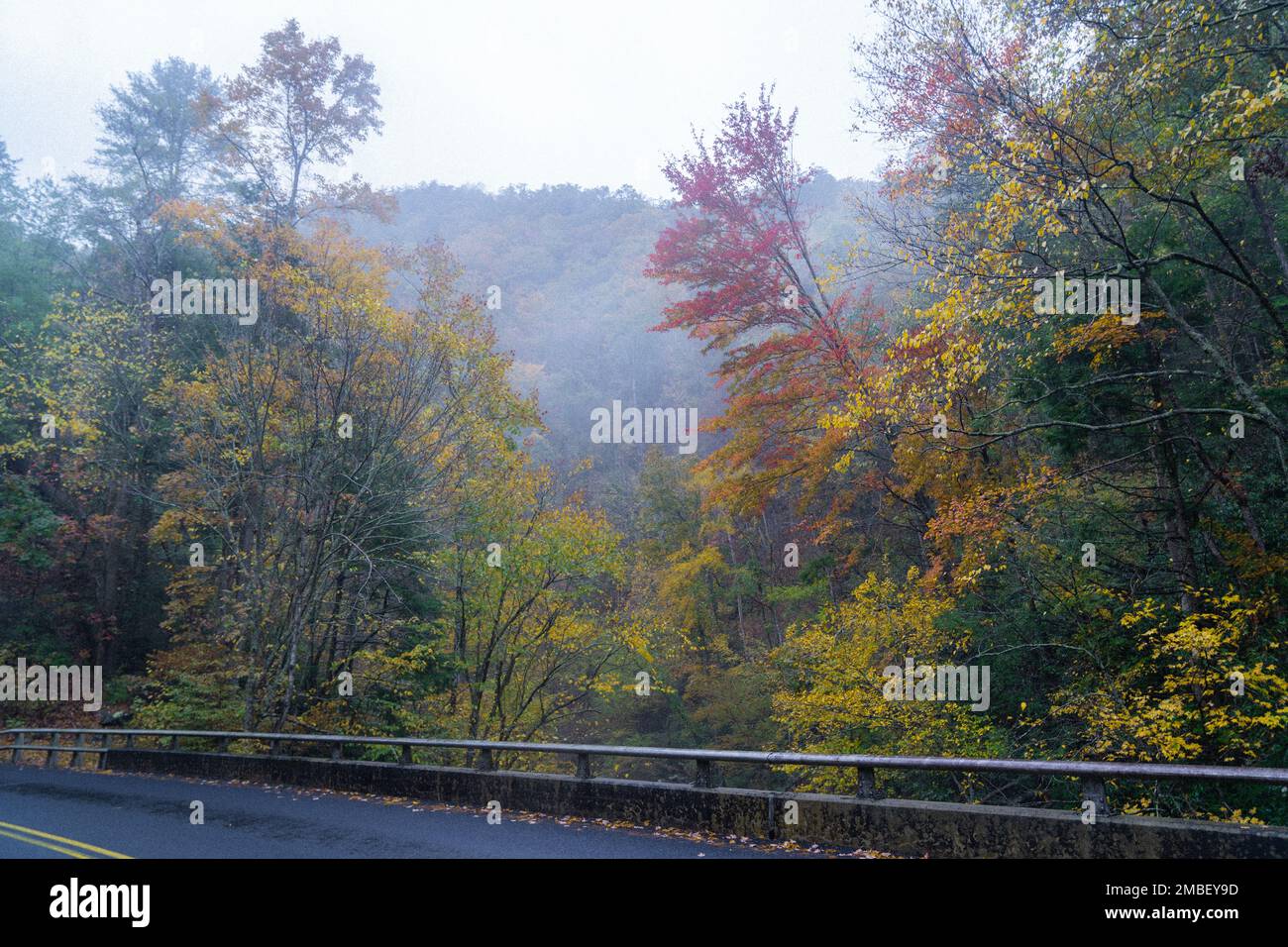 Great Smoky Mountains during autumn fall colors Stock Photo - Alamy