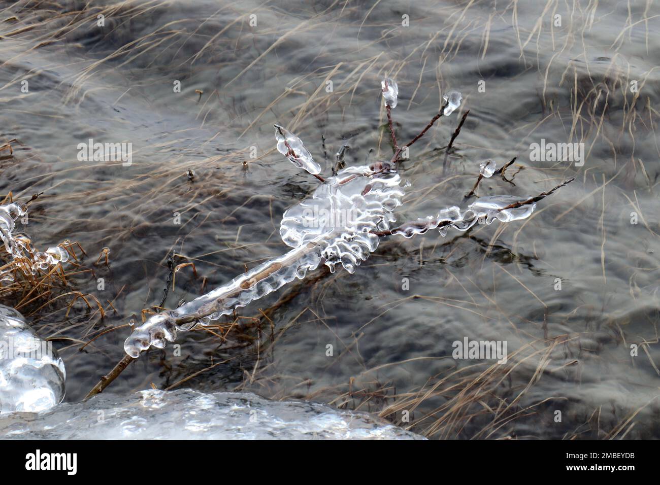 Microstructure hi-res stock photography and images - Alamy