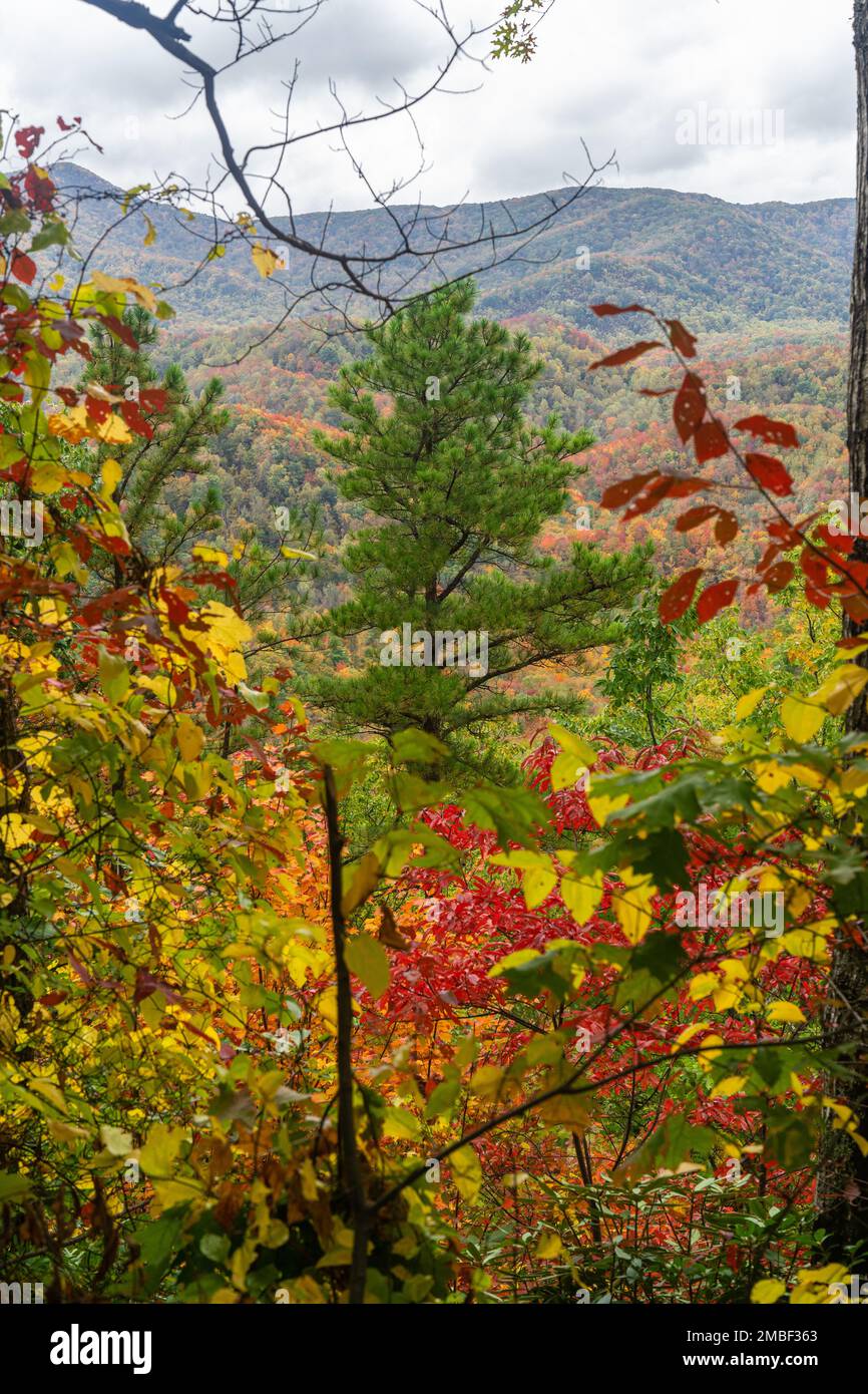 Great Smoky Mountains during autumn fall colors Stock Photo - Alamy