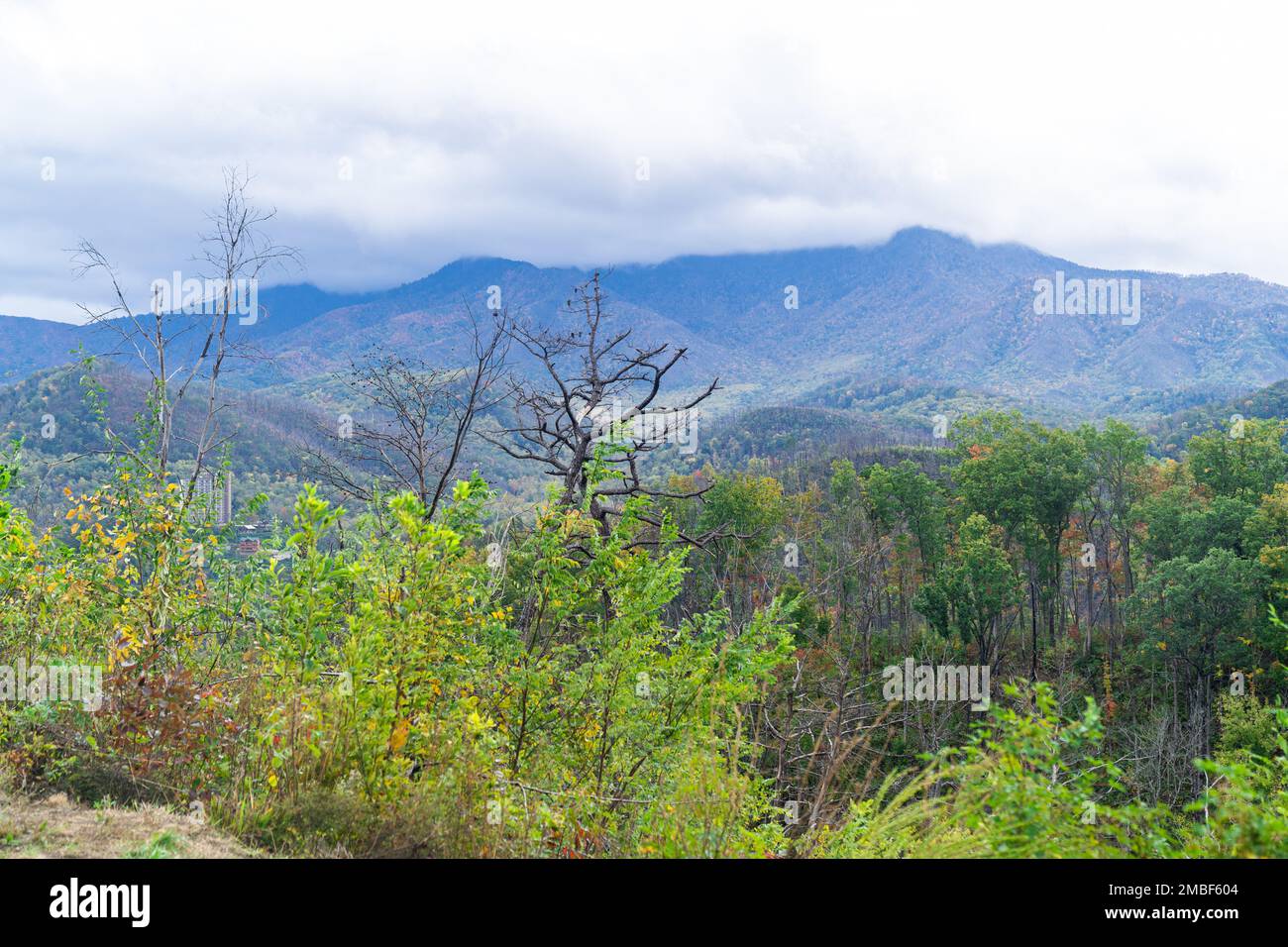 Great Smoky Mountains during autumn fall colors Stock Photo - Alamy