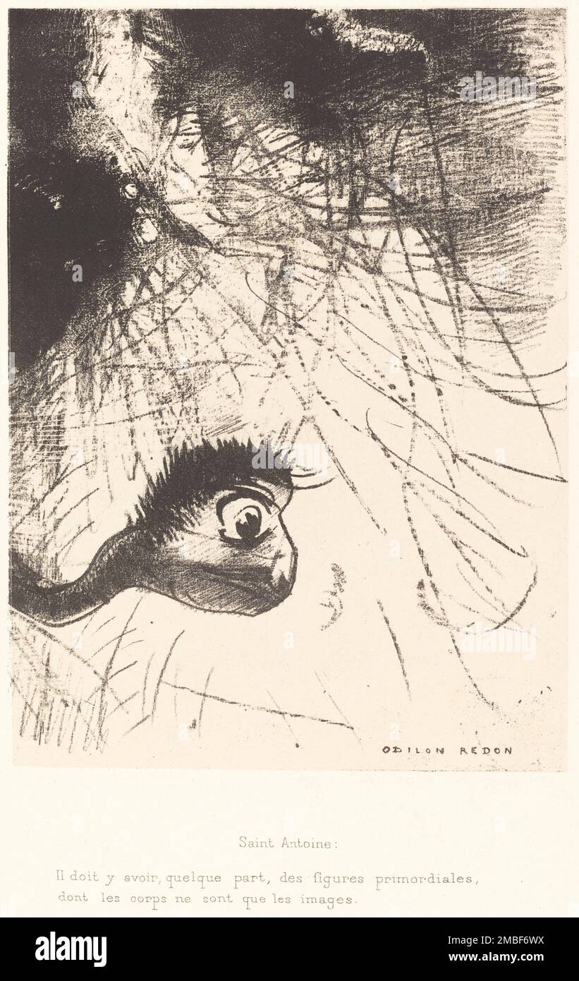 Primordiales hi-res stock photography and images - Alamy