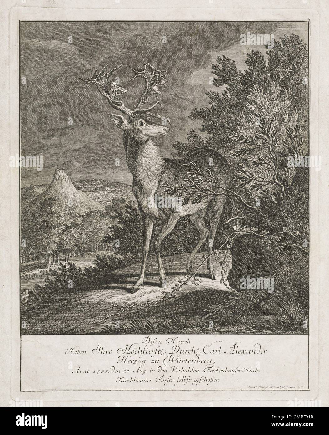 A Magnificent Stag in a Landscape, 1735 Stock Photo - Alamy