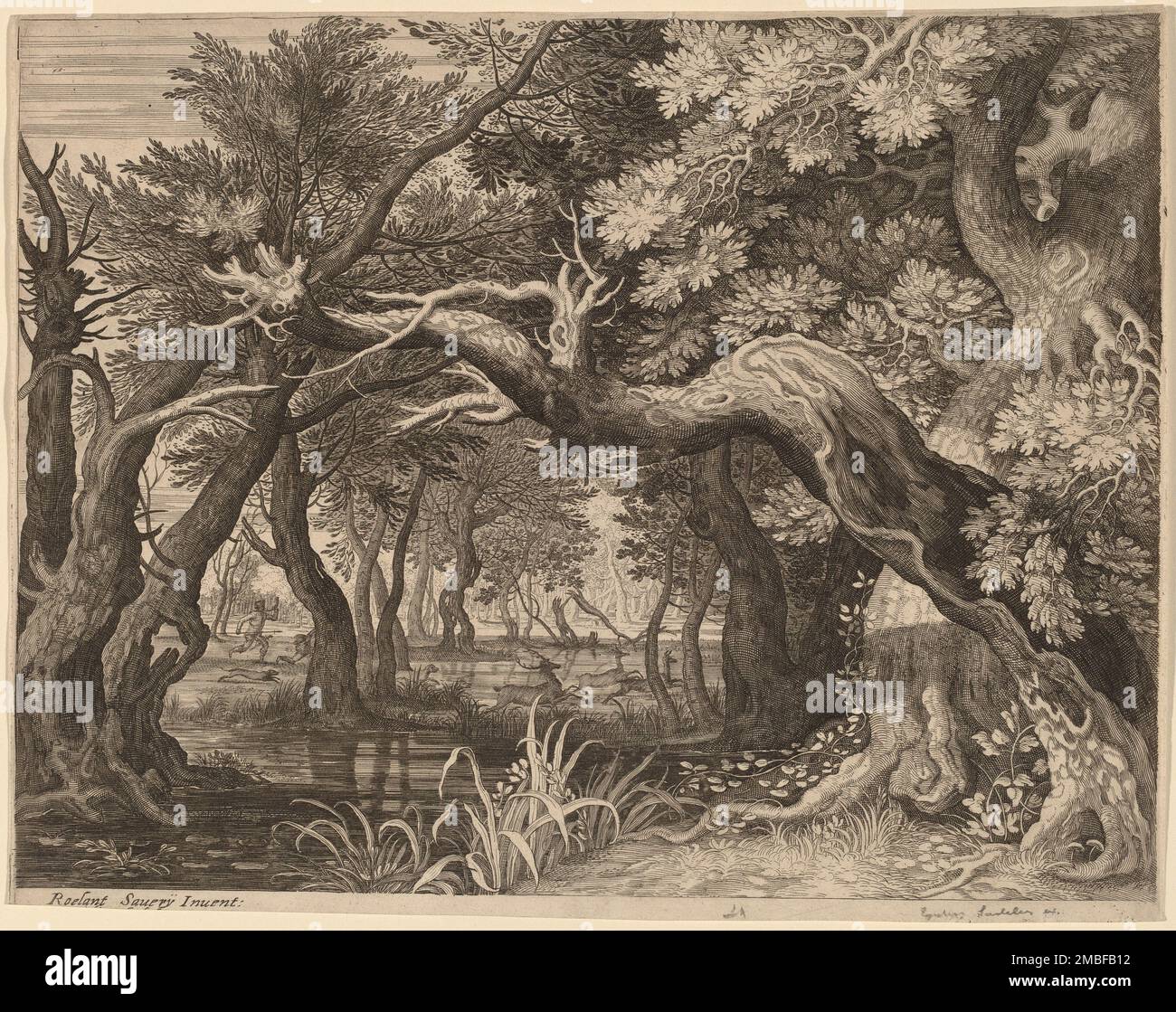 Stag pool hi-res stock photography and images - Alamy