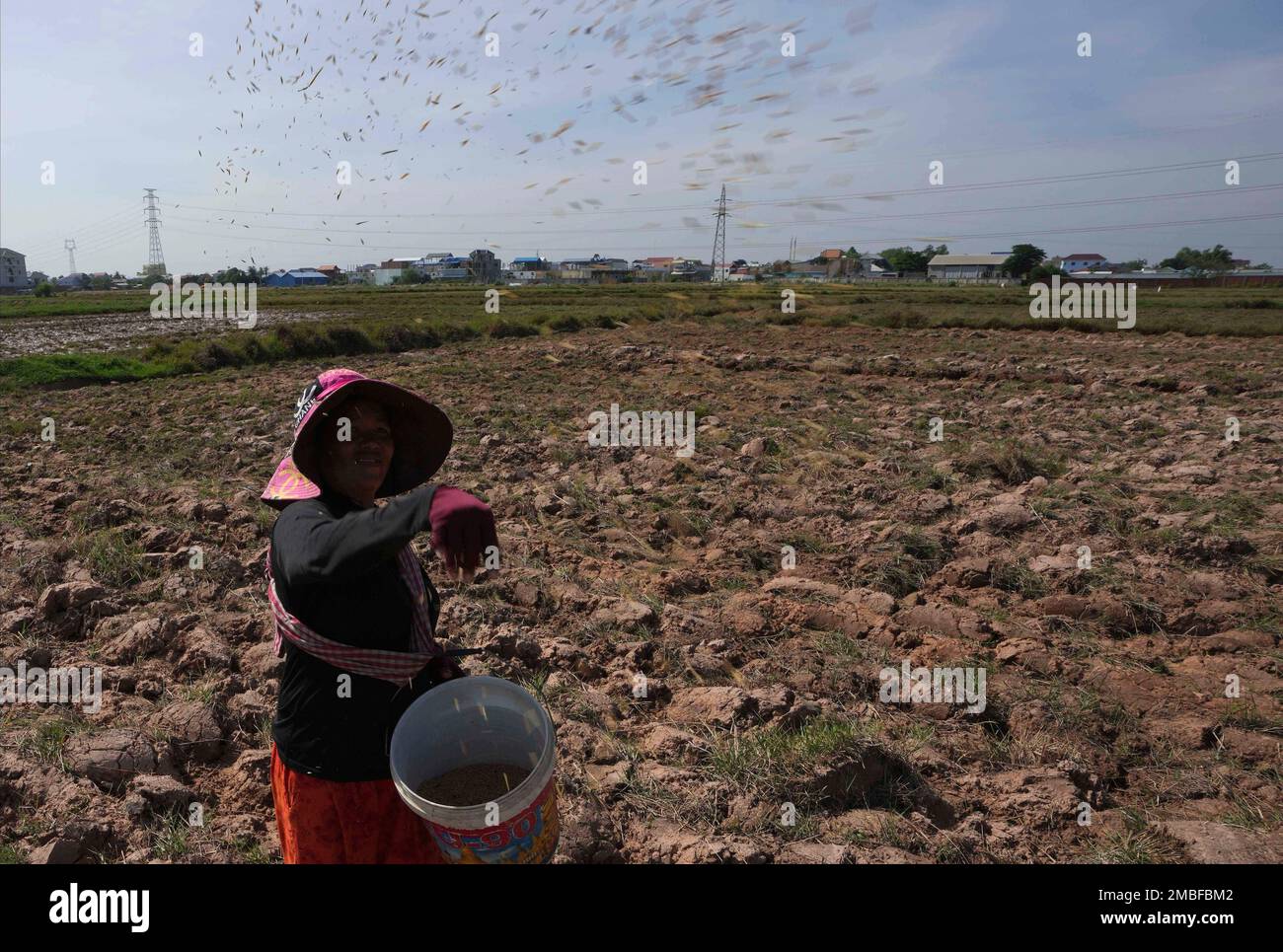 A Cambodian farmer throws rice seeds onto a paddy field outside Phnom ...