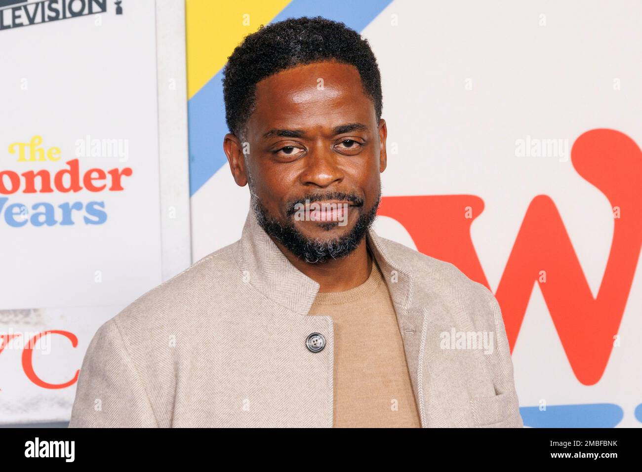 Dule Hill Beard