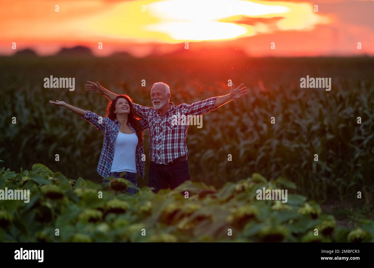 Happy father and daughter farmers raising arms and laughing for success ...