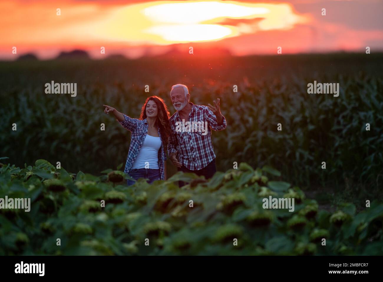 Happy father and daughter farmers raising arms and laughing for success ...