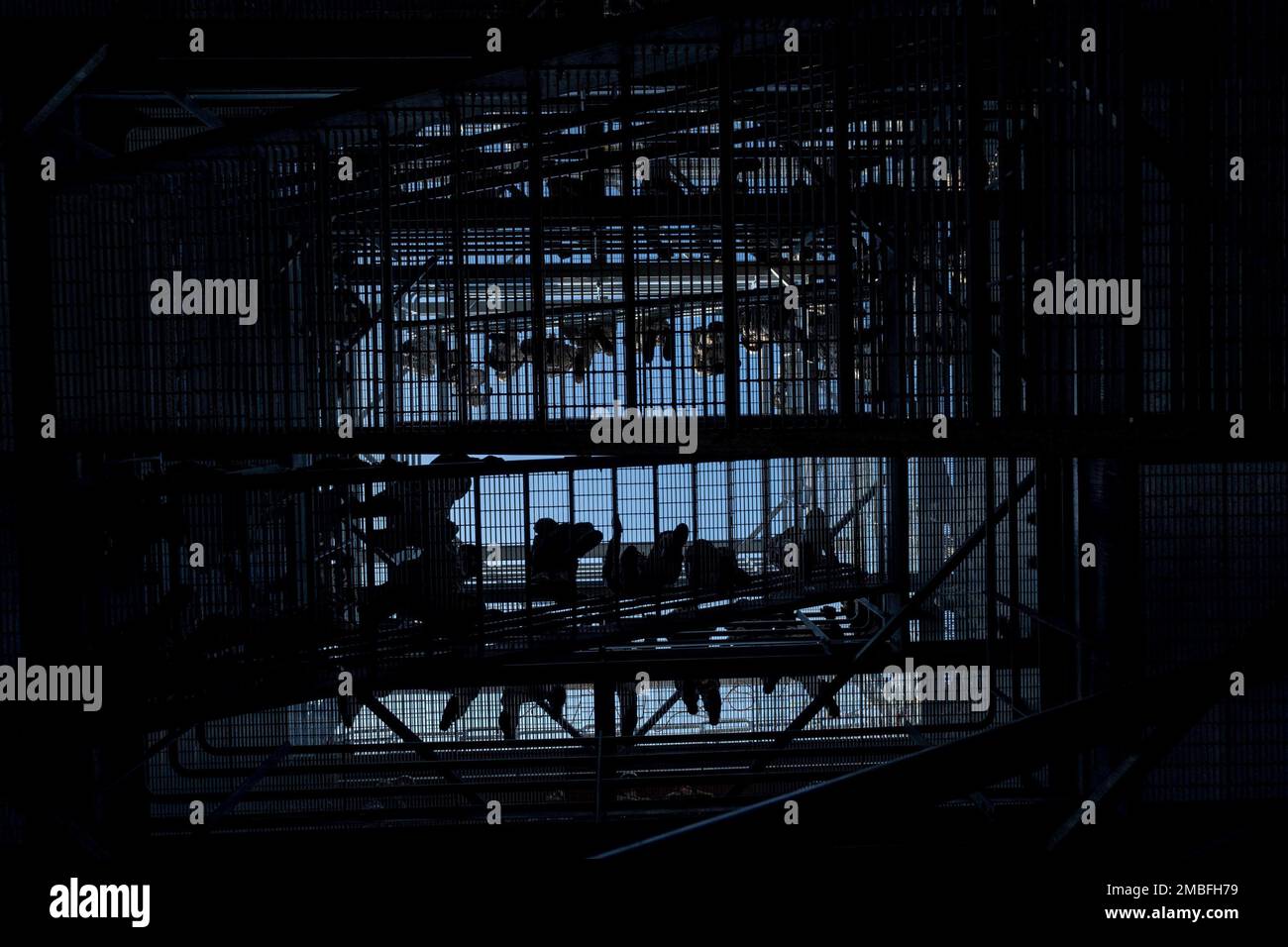 Soldiers from 11th Airborne Division wait on the interior stairs of the ...