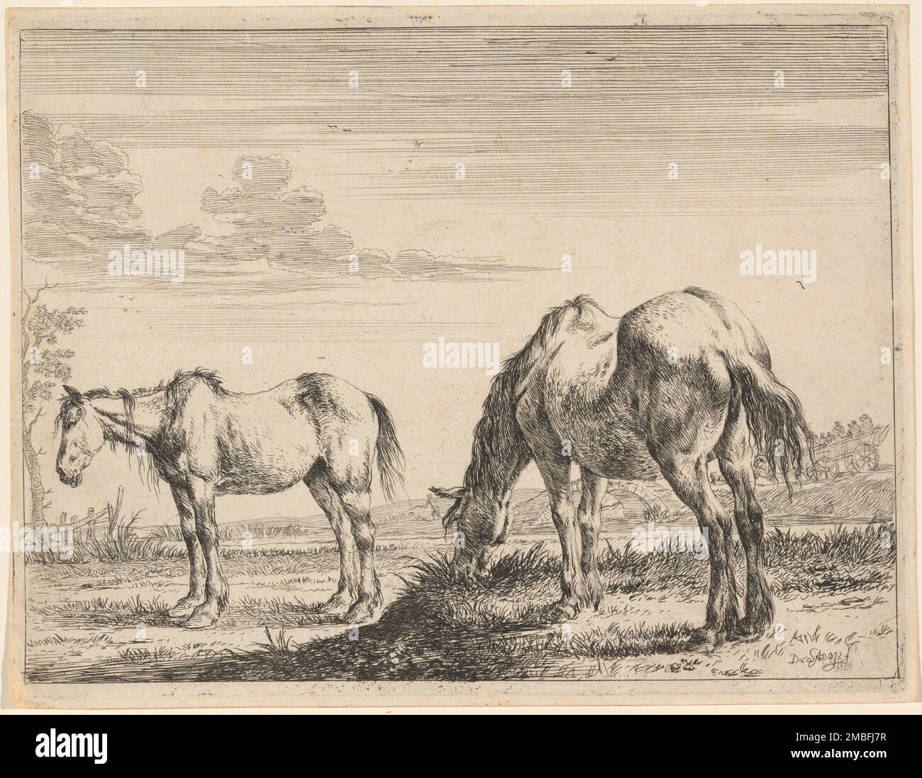 Two Grazing Horses, 1651 Stock Photo - Alamy