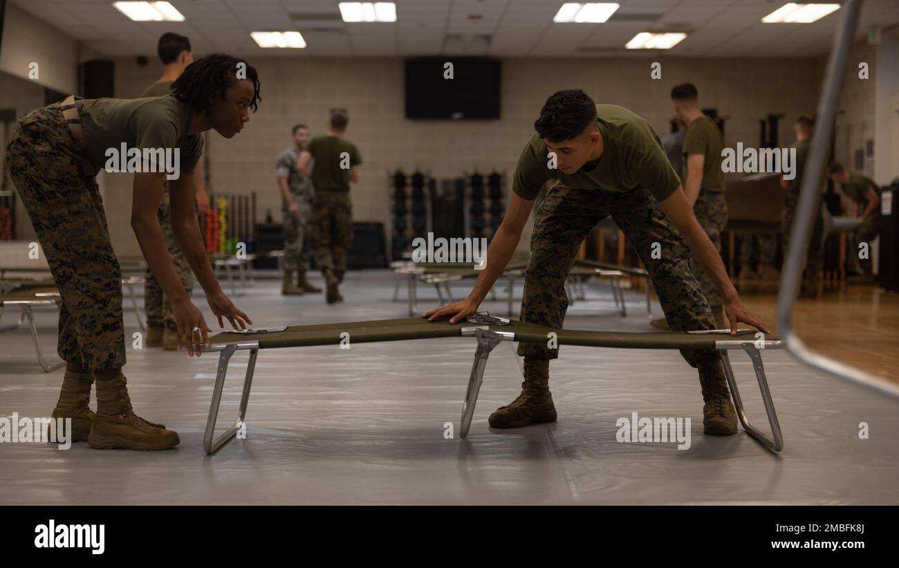 Dwx2022 hi-res stock photography and images - Alamy