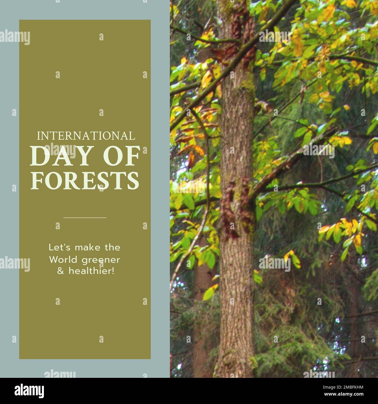 Composition of international day of forests text over forest on green ...