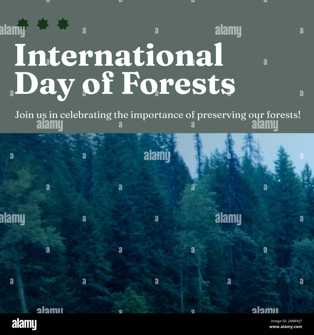 Composition of international day of forest text and trees in forest ...