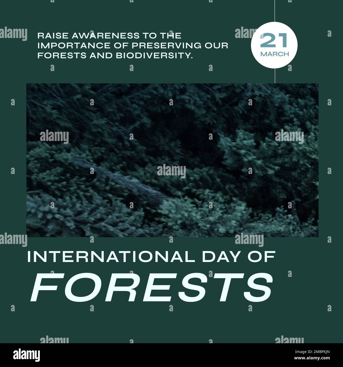 Composition of international day of forests text over forest on green ...