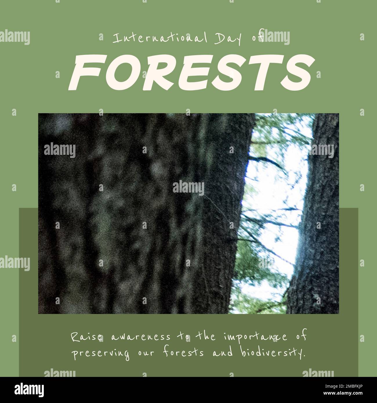 Composition of international day of forests text over forest on green ...