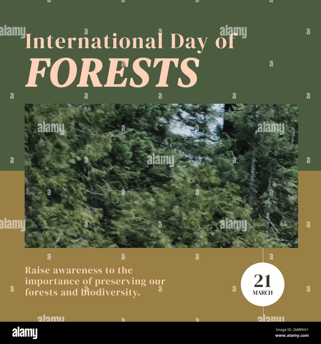 Composition of international day of forests text over forest on green ...