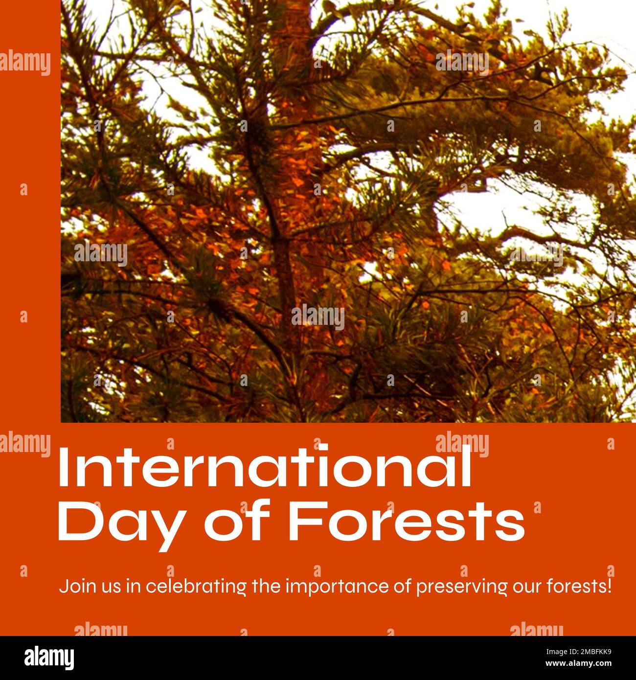 Composition of international day of forest text and tree Stock Photo ...