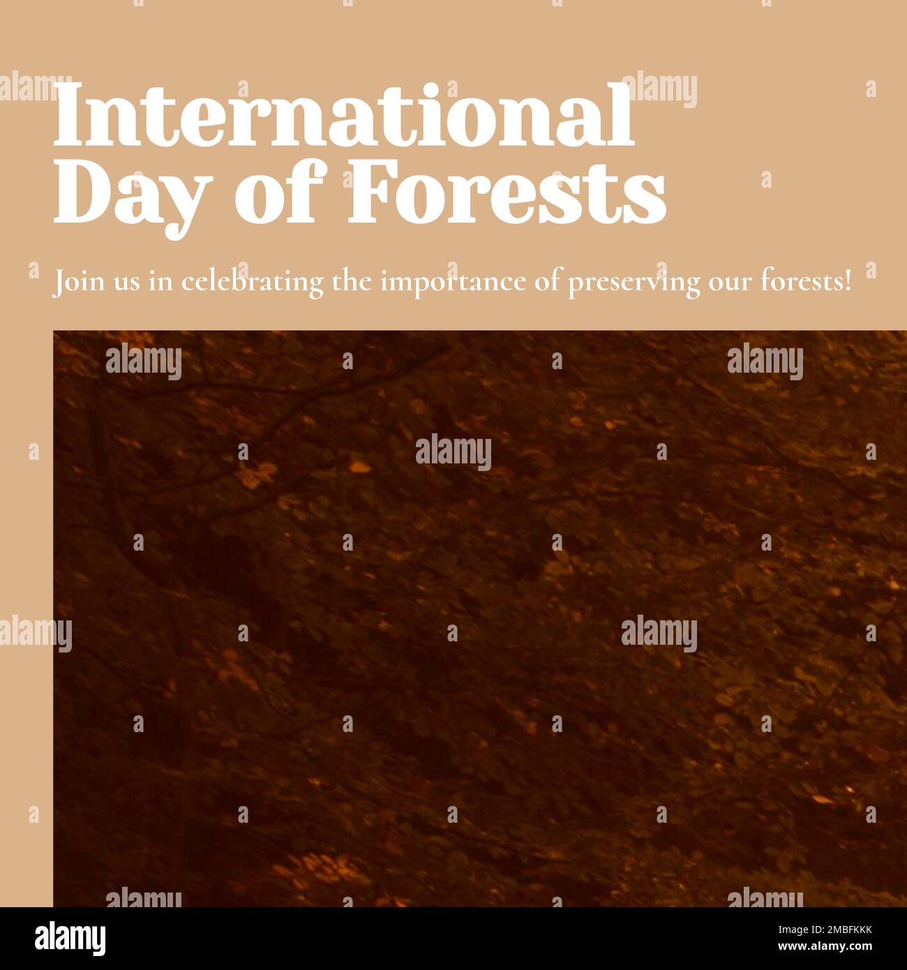 Composition of international day of forest text and trees in forest ...