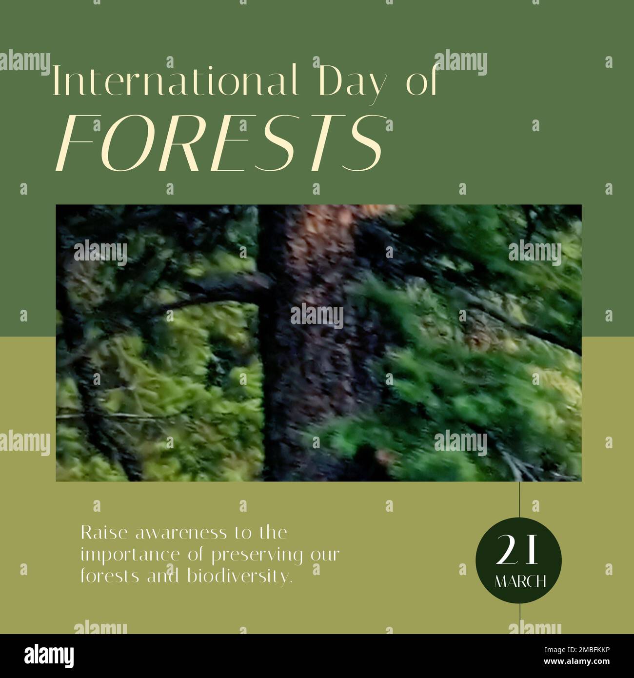 Composition of international day of forests text over forest on green ...