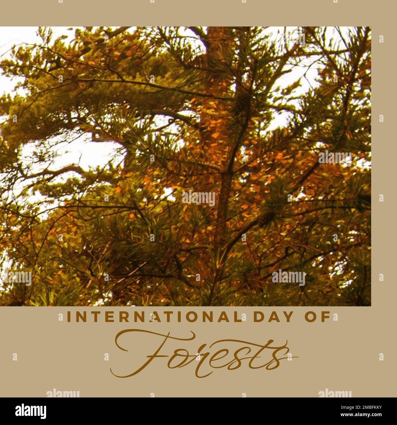 International day forests natural hi-res stock photography and images ...