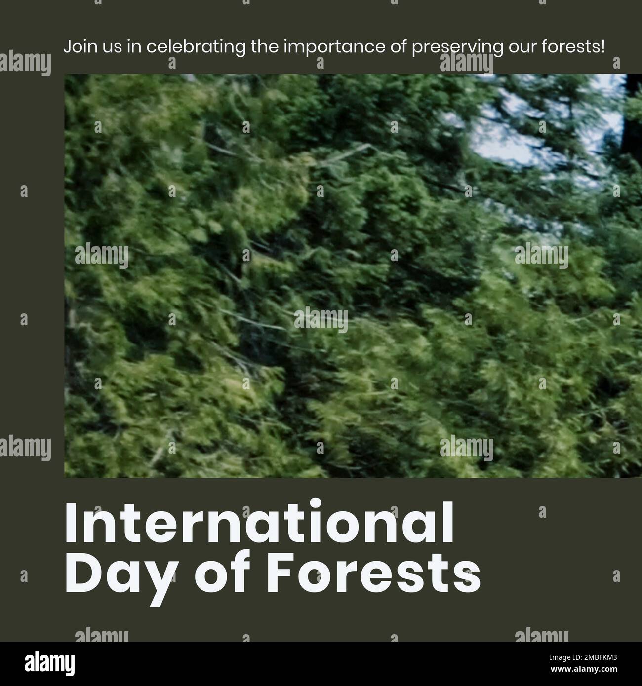 Composition of international day of forest text and trees Stock Photo ...