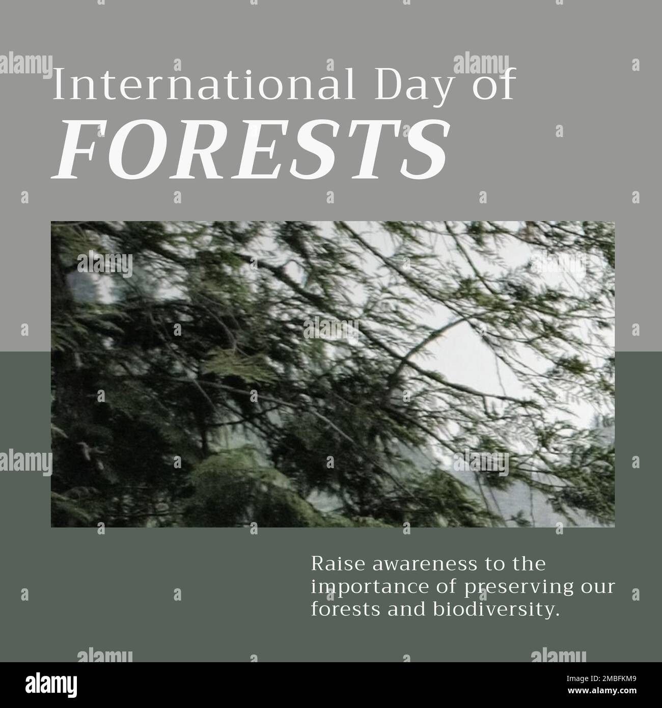 Composition of international day of forests text over forest on green ...