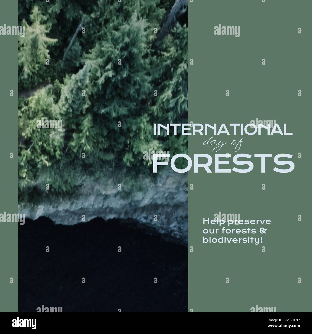 Composition of international day of forests text and trees Stock Photo ...