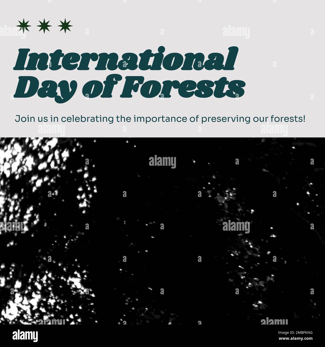 Composition of international day of forest text and trees Stock Photo ...