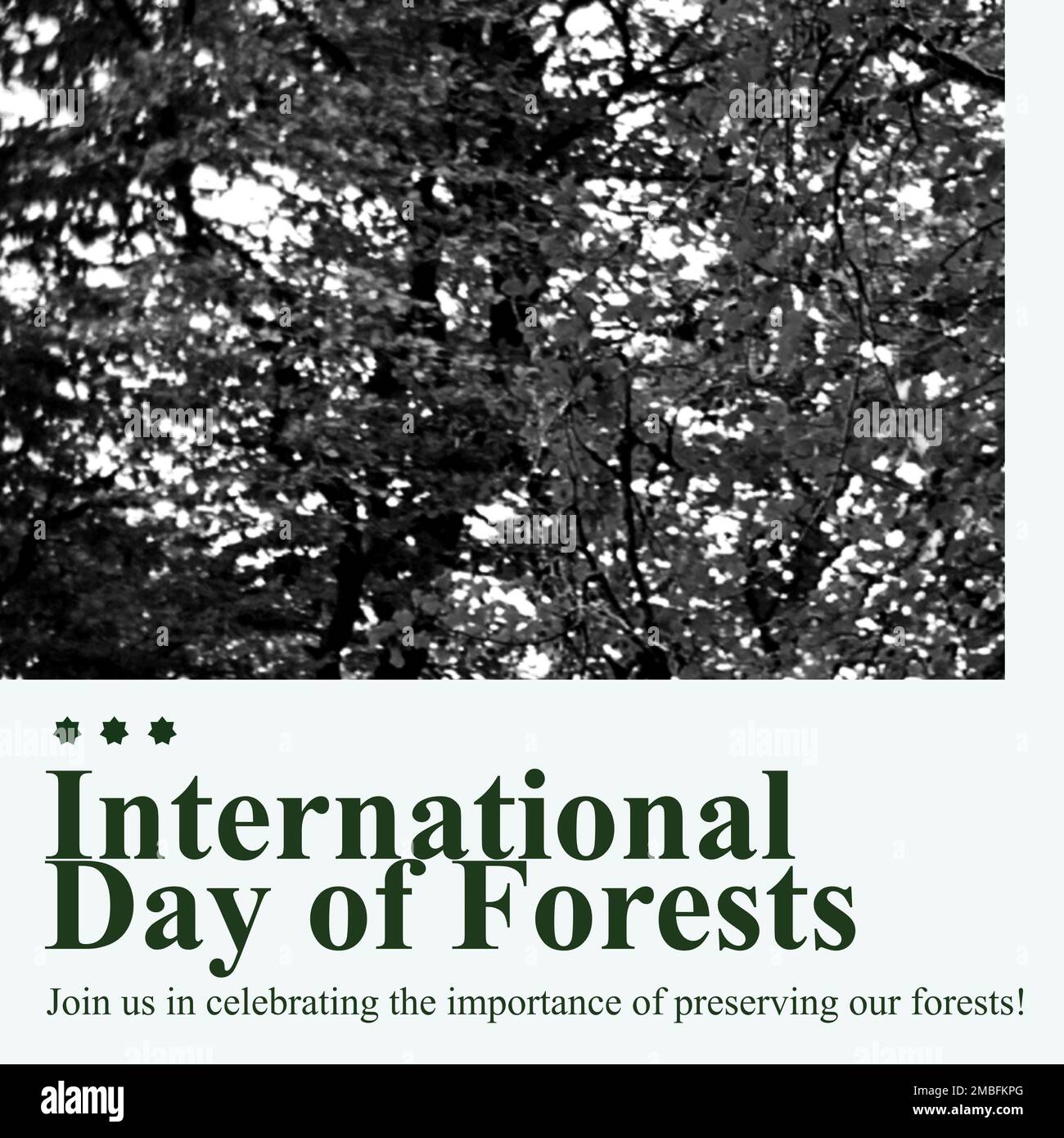 Composition of international day of forest text and trees Stock Photo ...