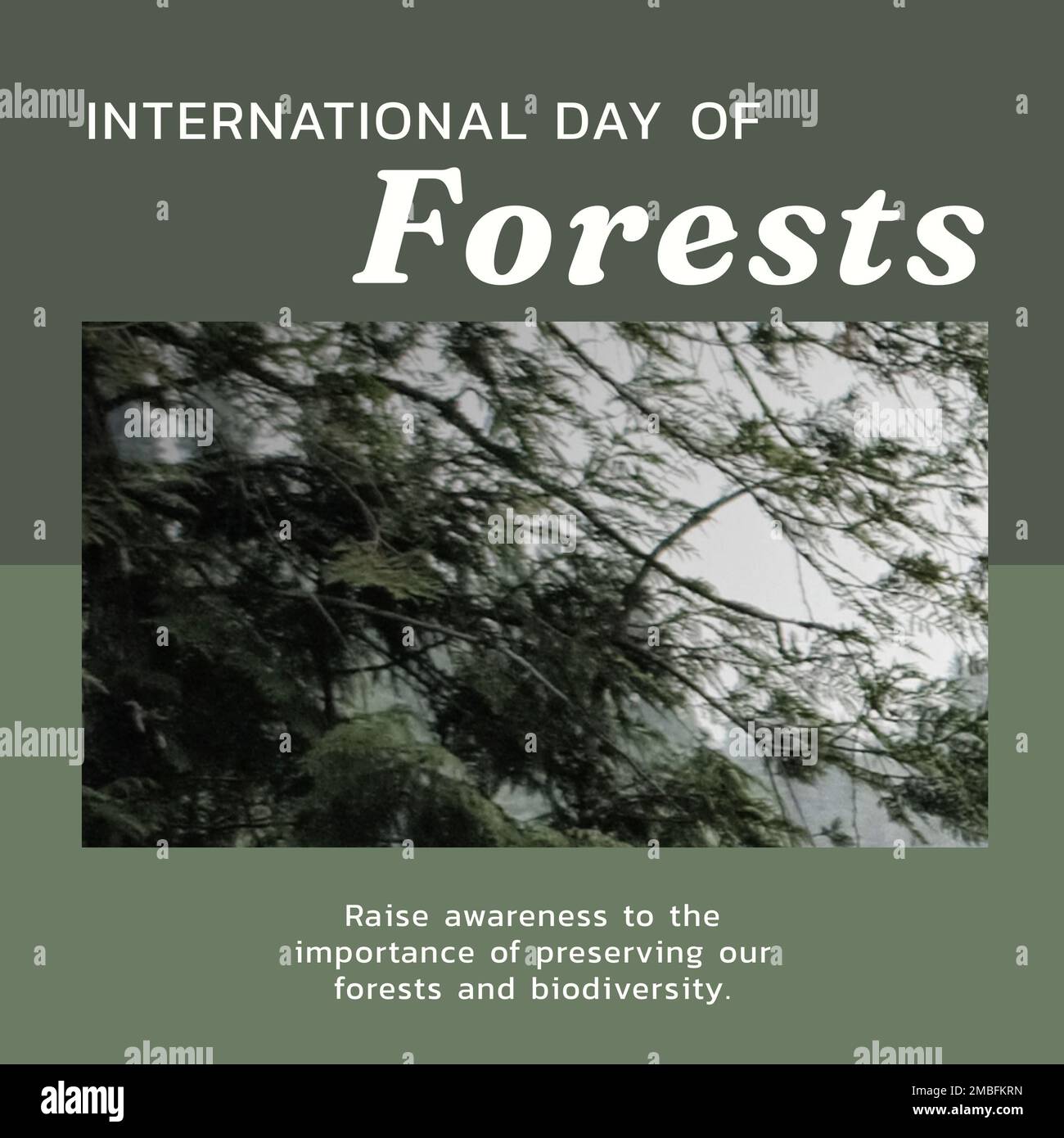 Composition of international day of forests text over forest on green ...