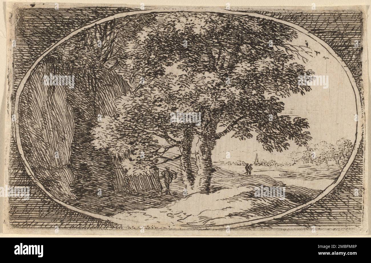 The Tree with a Double Trunk Stock Photo - Alamy