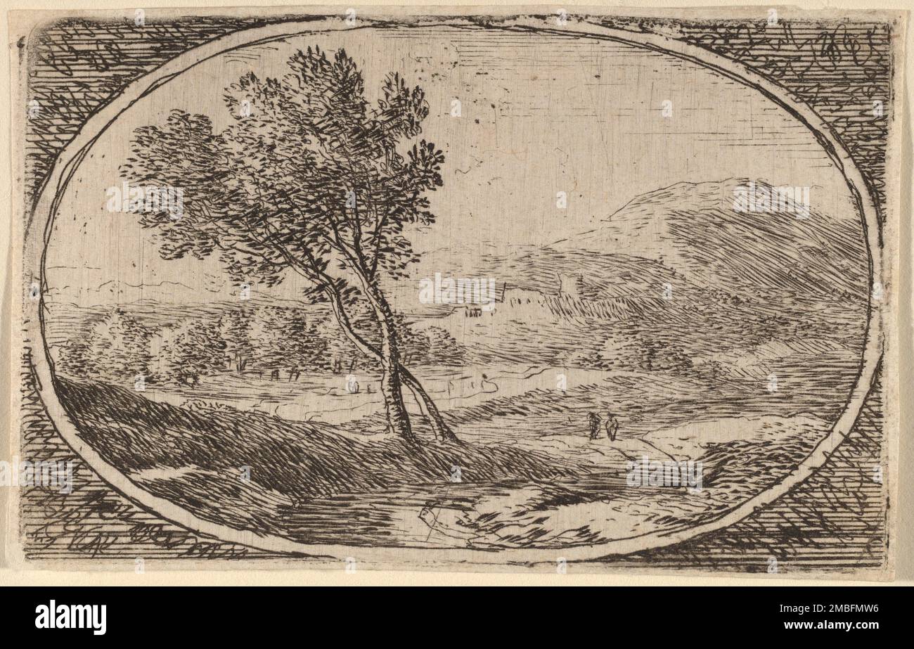 Two Trees with Crossed Trunks Stock Photo - Alamy