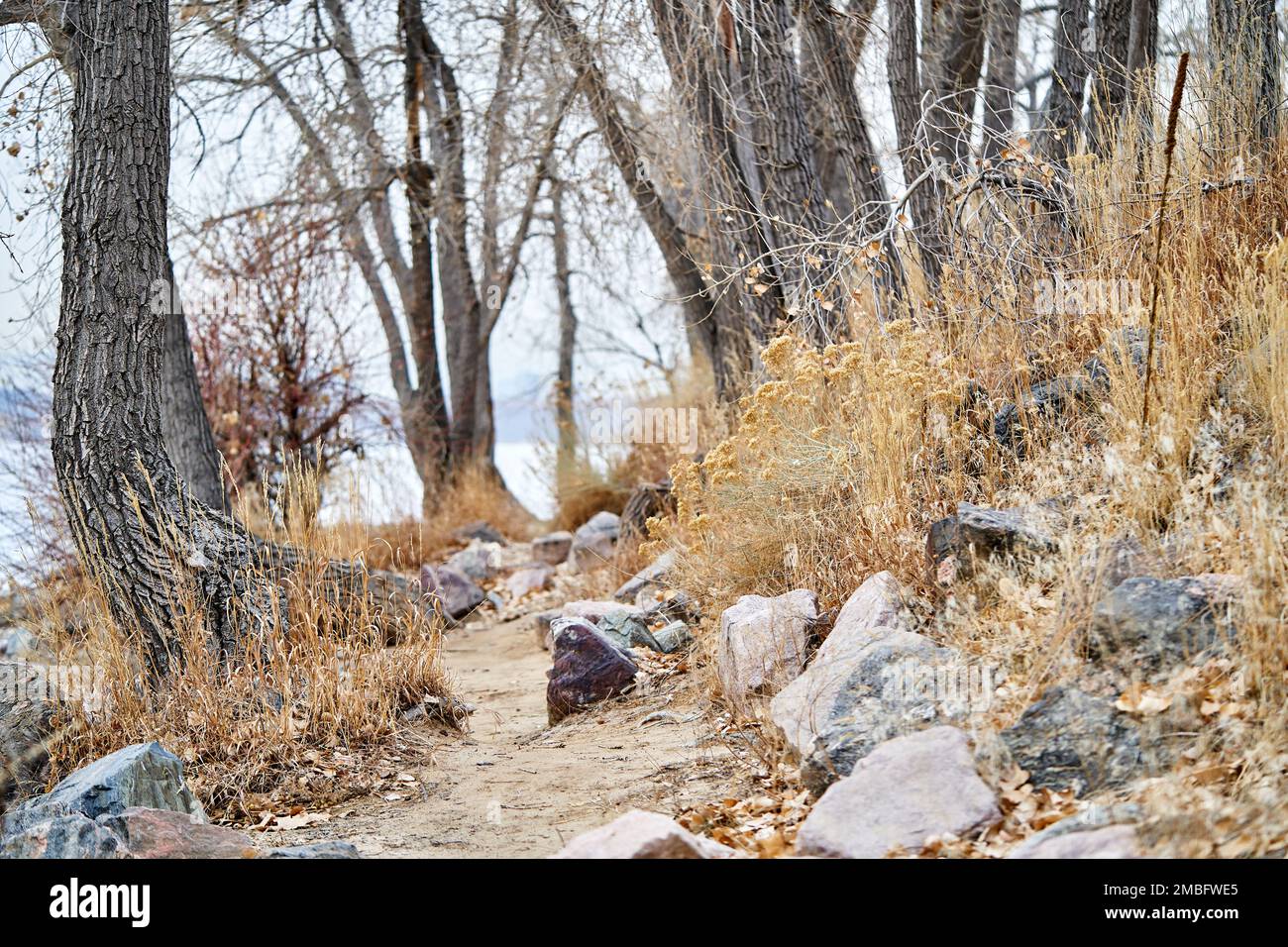 Nature Desktop Wallpaper Stock Photo - Alamy