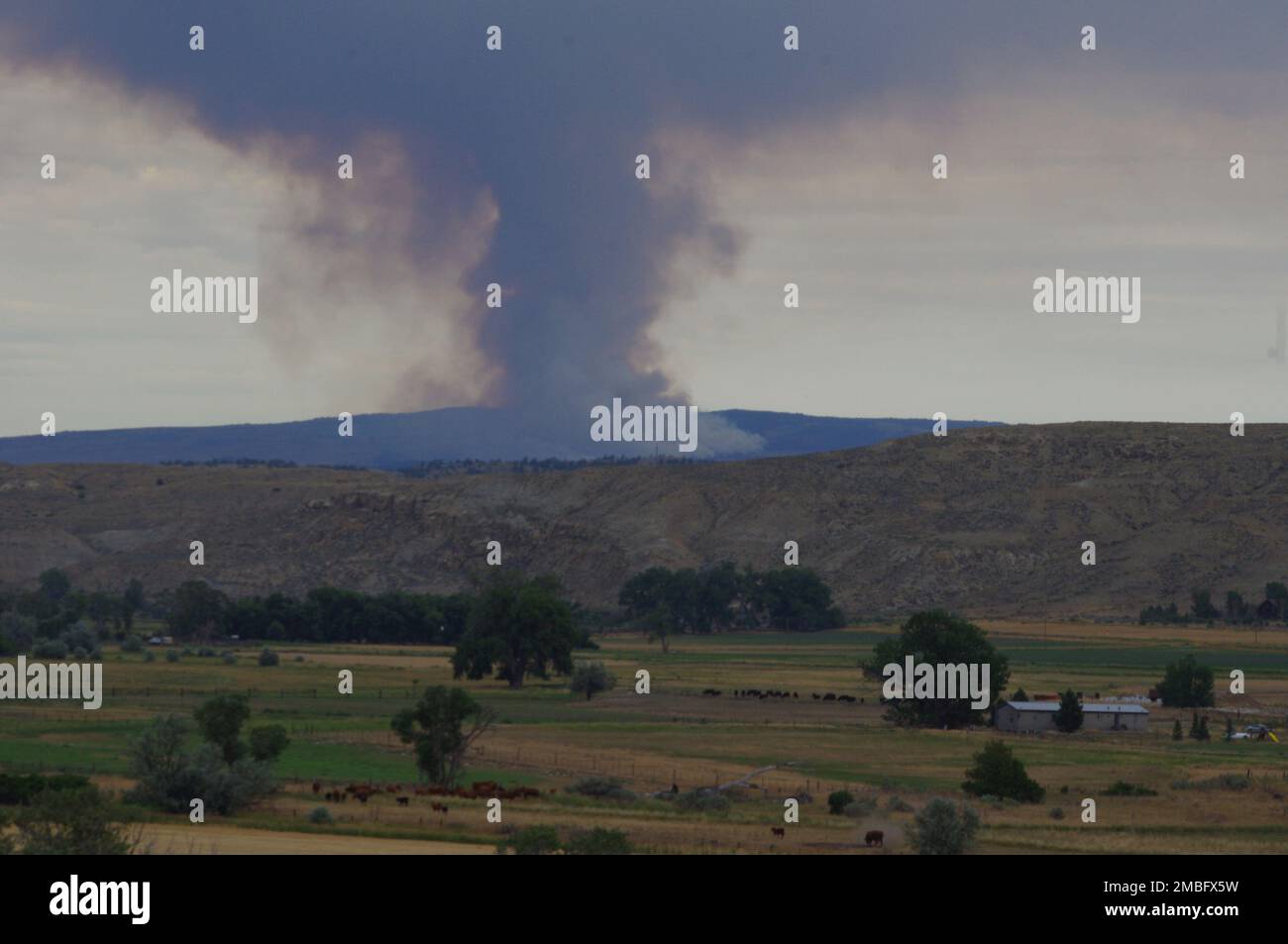 A green landscape with mountains and wildfire smoke behind them Stock ...