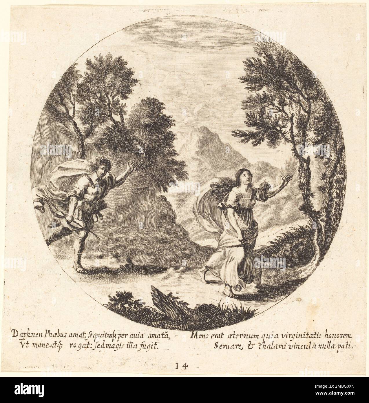 Daphne greek deity hi-res stock photography and images - Alamy