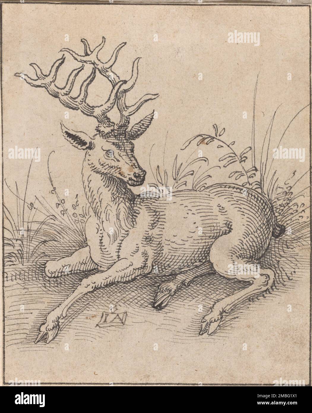 Reclining stag hi-res stock photography and images - Alamy