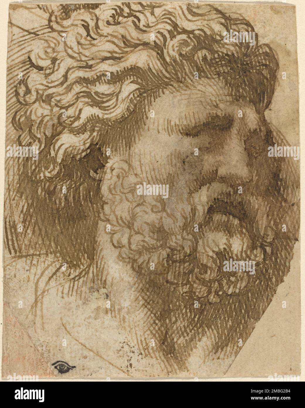 Head of a Man Stock Photo - Alamy