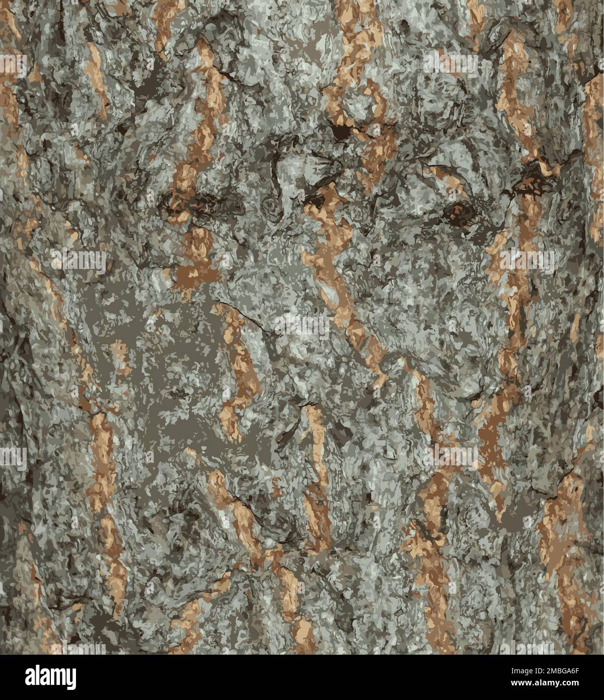 Realistic illustration of ginkgo biloba tree bark. Tree bark background ...