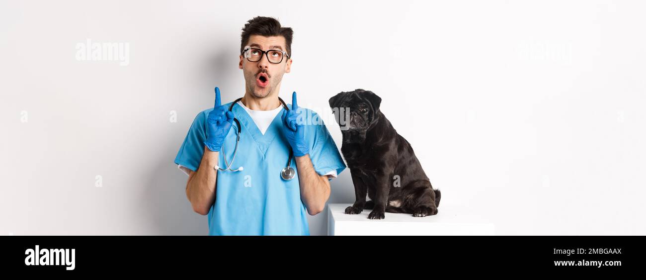 Handsome young doctor at vet clinic pointing fingers up and looking ...