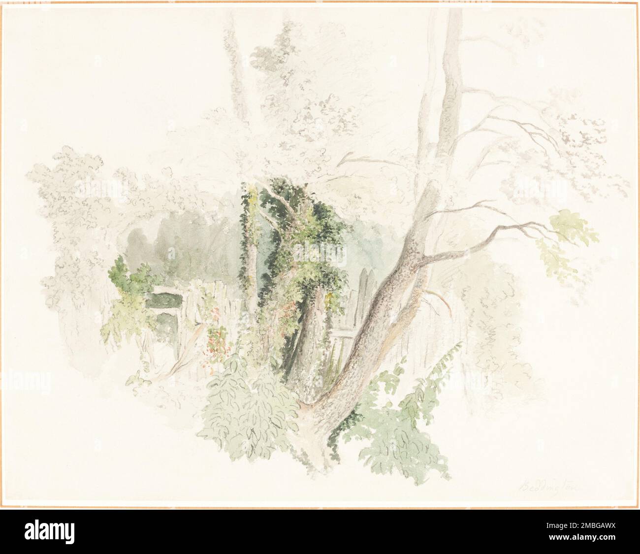 Trees at Beddington, possibly c. 1805 Stock Photo - Alamy