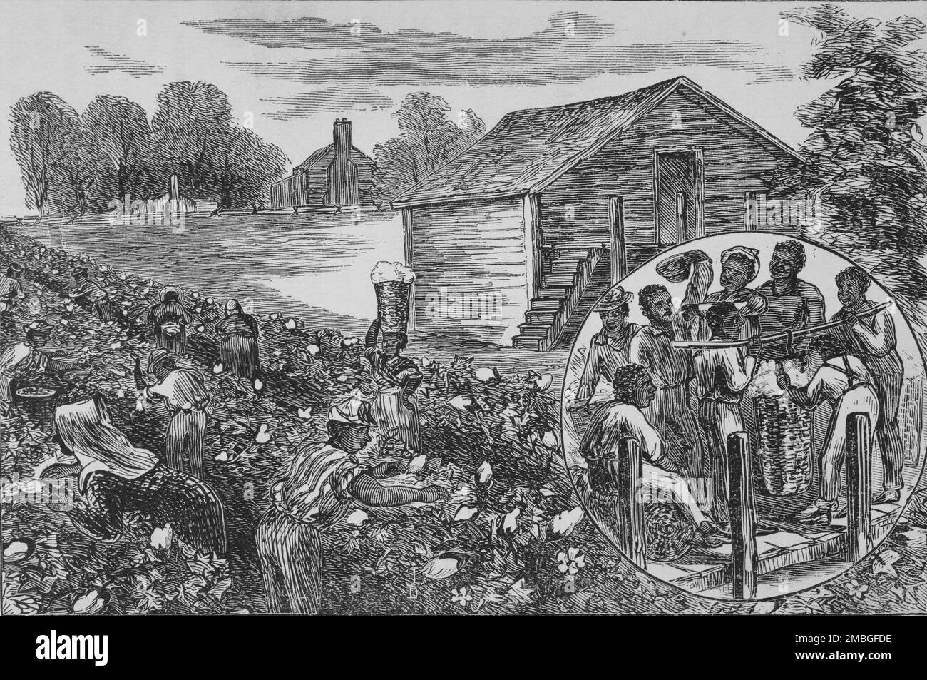 Child african american cotton hi-res stock photography and images - Alamy