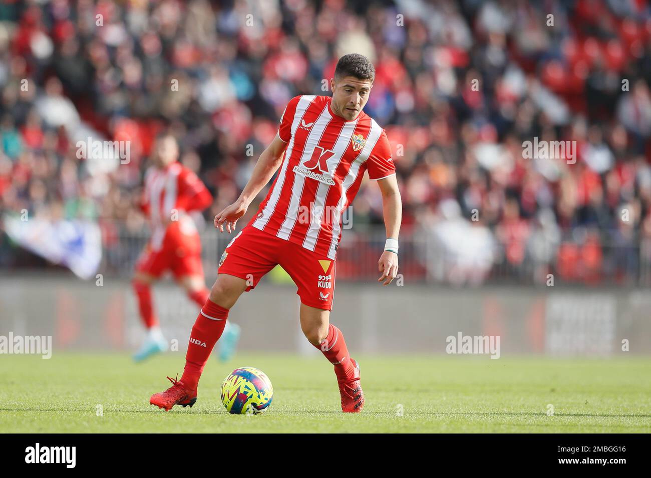 Power horse stadium hi-res stock photography and images - Alamy