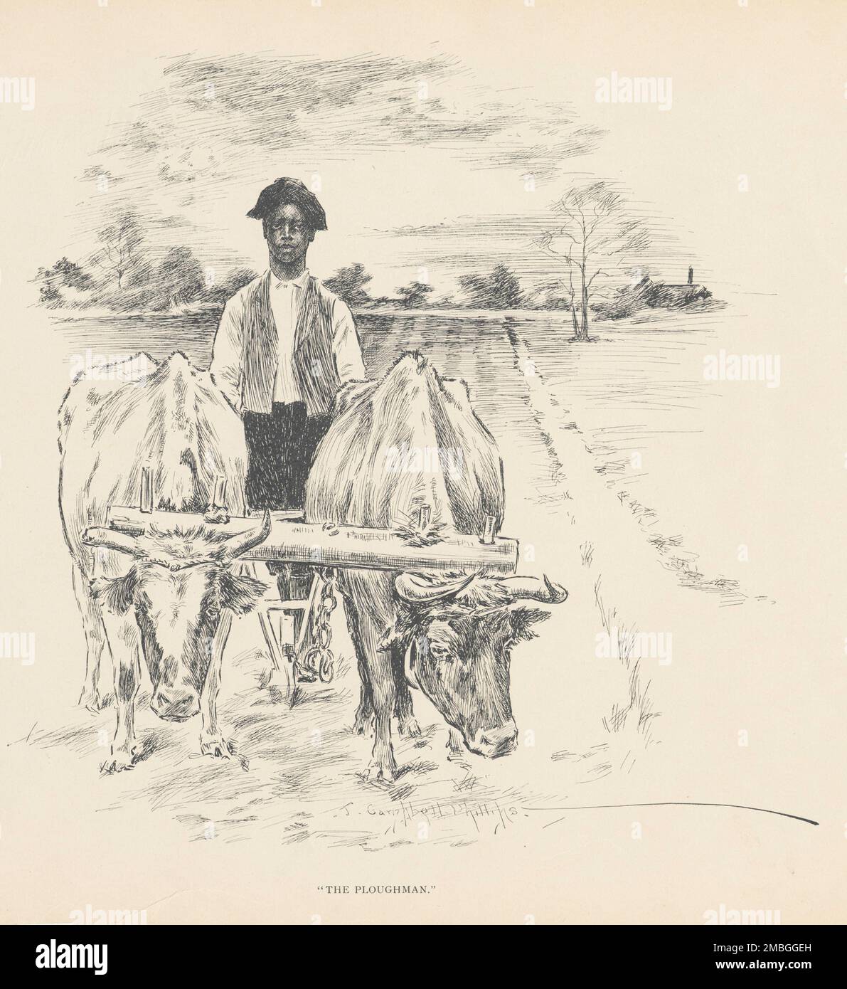 The ploughman, 1899 Stock Photo - Alamy