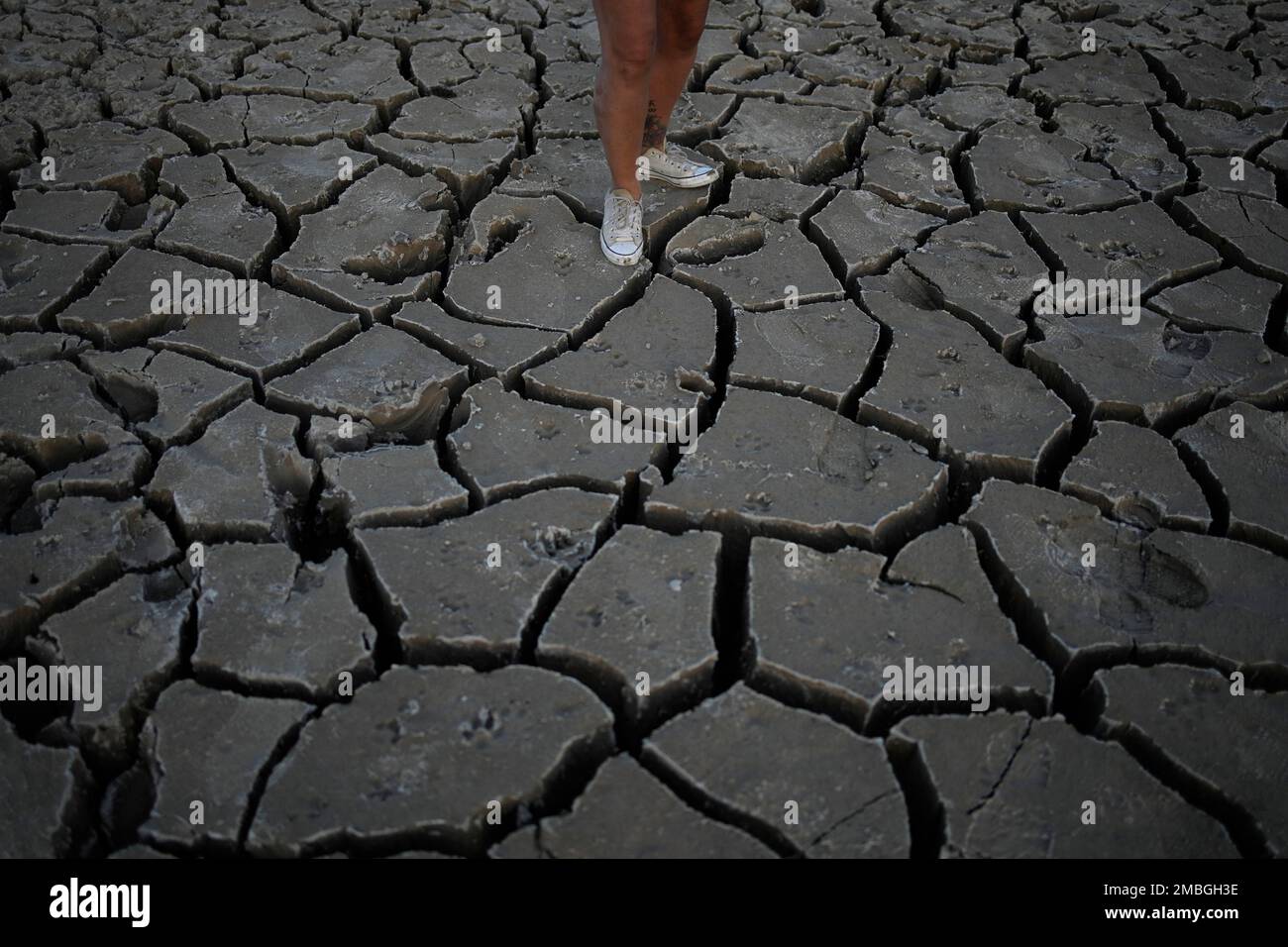 Misha McBride stands on cracked earth that was once underwater near ...